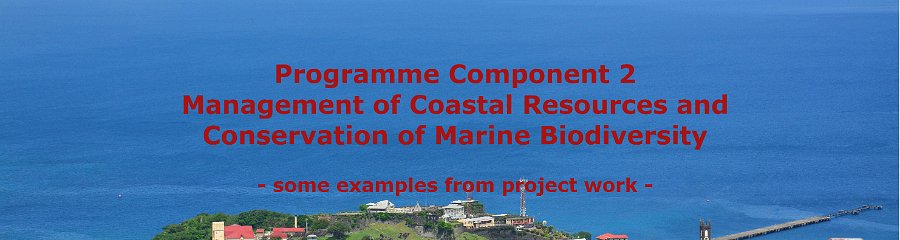 Marine Protected Areas Management | cooperation in the Caribbean